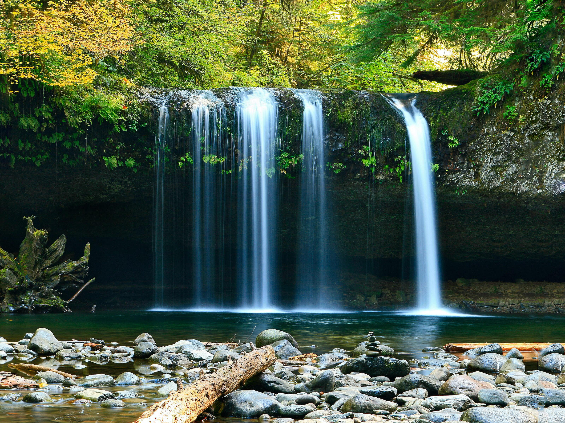 1° D la naturaleza - Mind Map