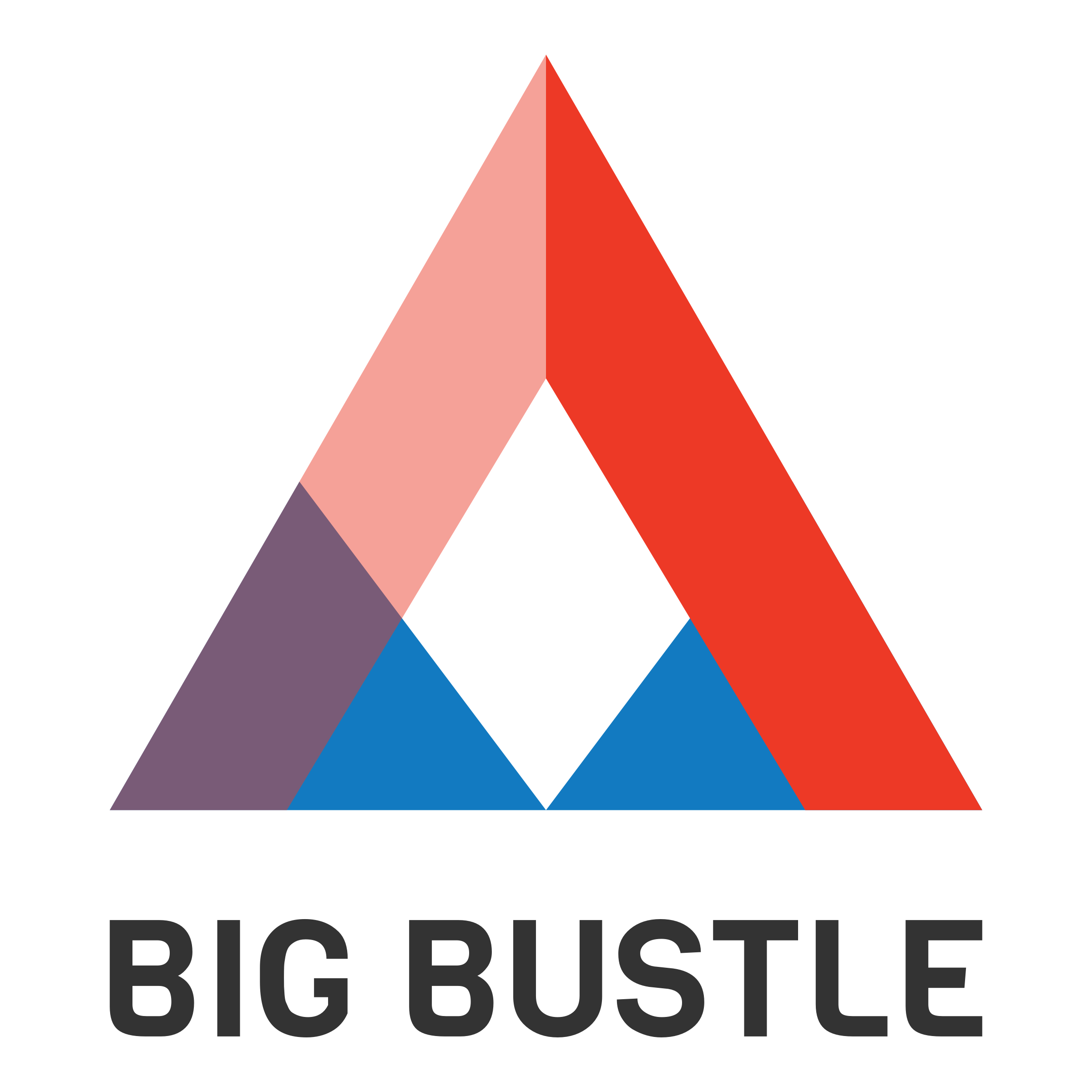 Red And White Triangle Logo