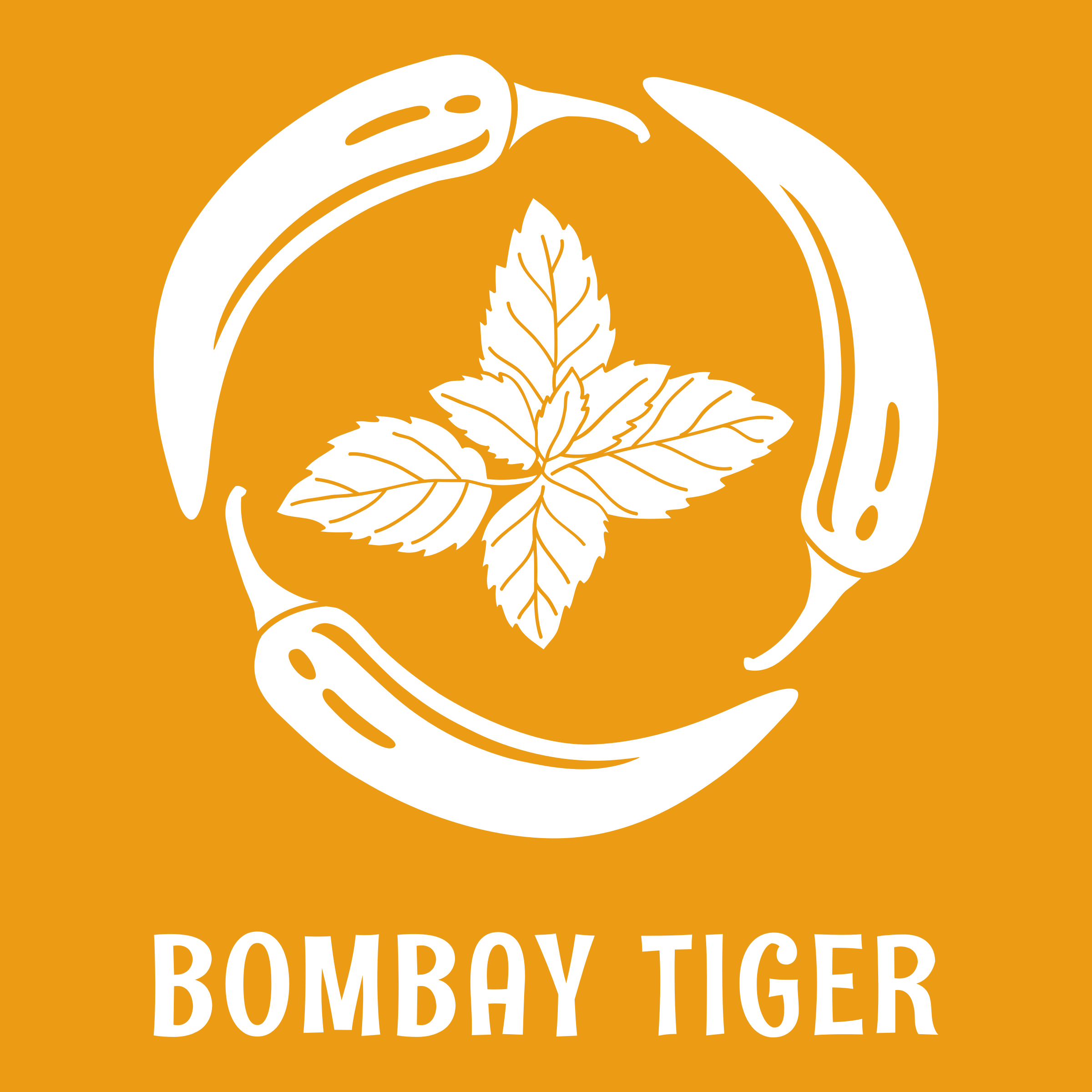 Indian Company Logos Png