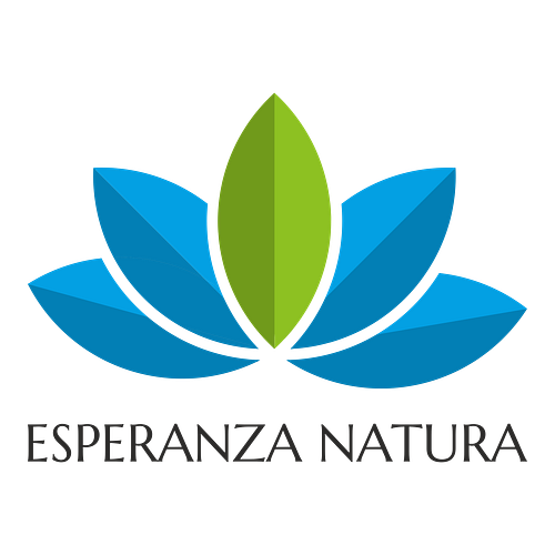 Logotipos Azul Marino Y Verde Lima