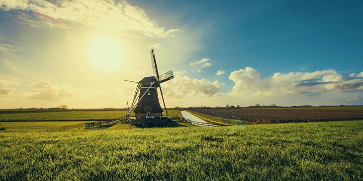 Farm Website Examples - 5 Sites That Show Off Their Harvest