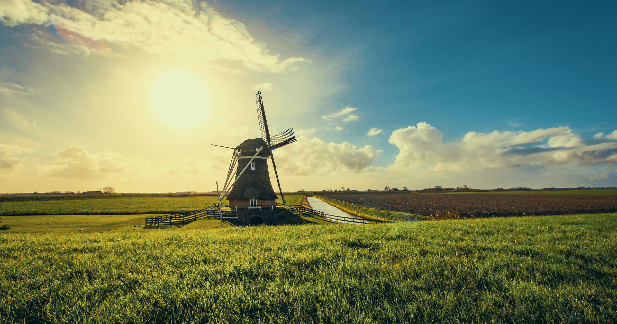 Farm Website Examples - 5 Sites That Show Off Their Harvest