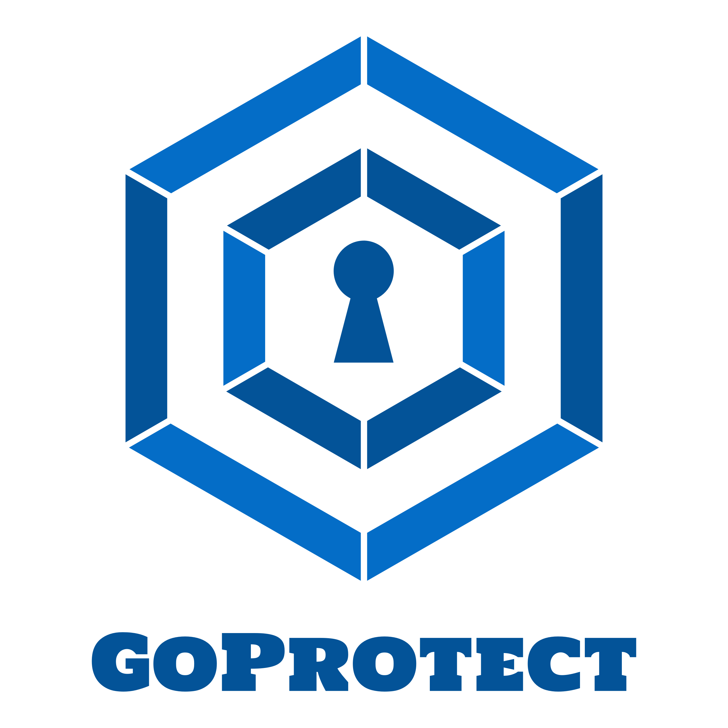 Security Company Logo Png