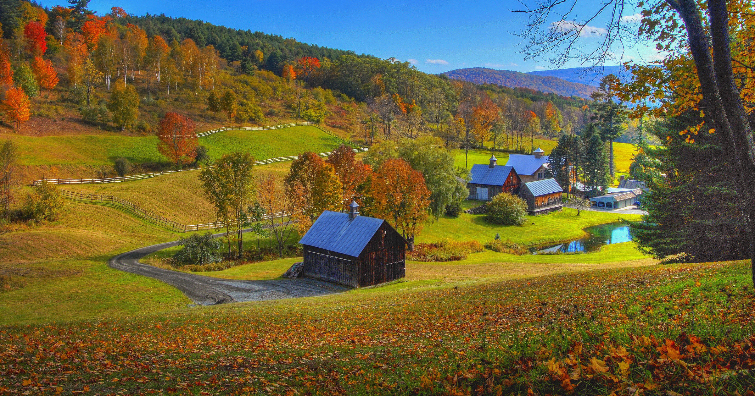 Vermont Business Search