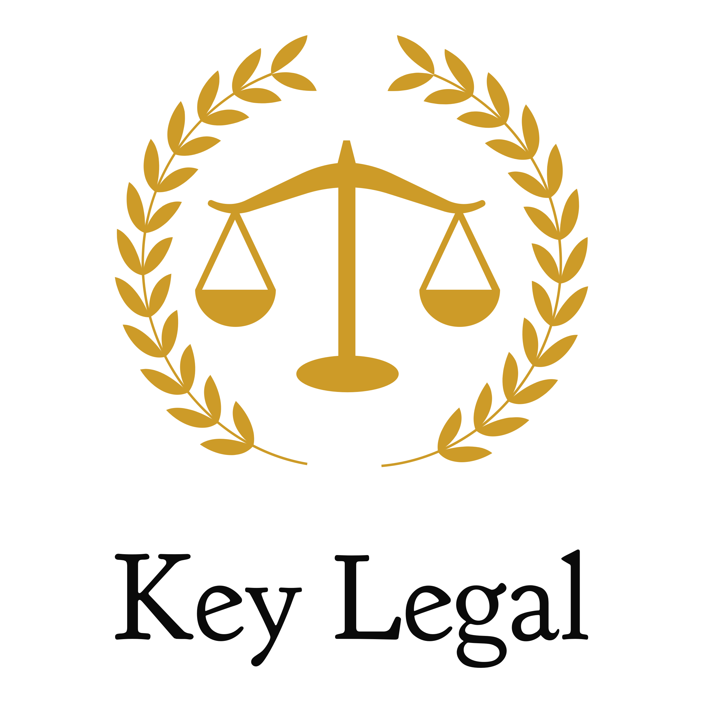 Indian Advocate Logo Png