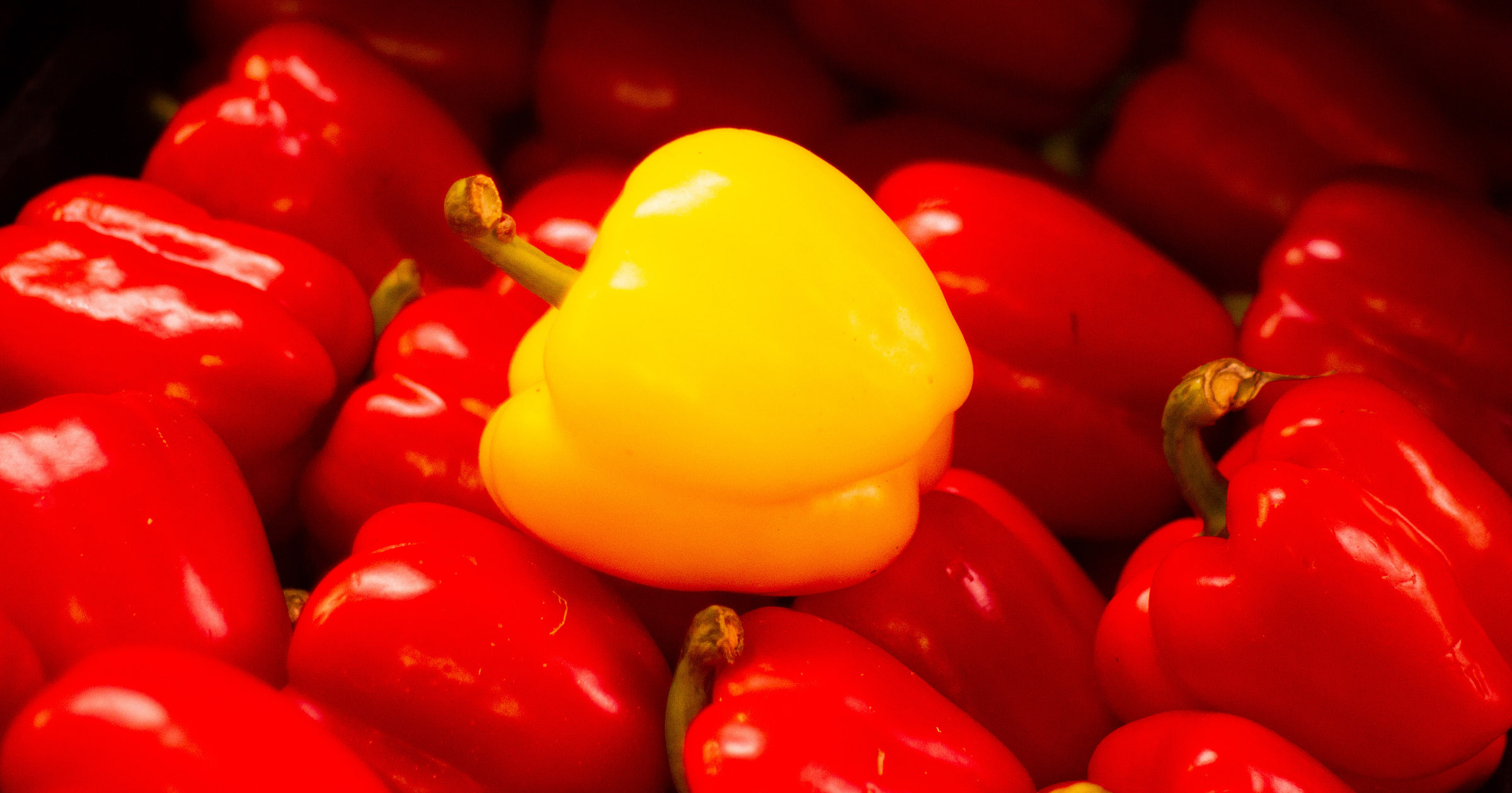 Logo Merah dan Kuning + Pembuat Logo Gratis