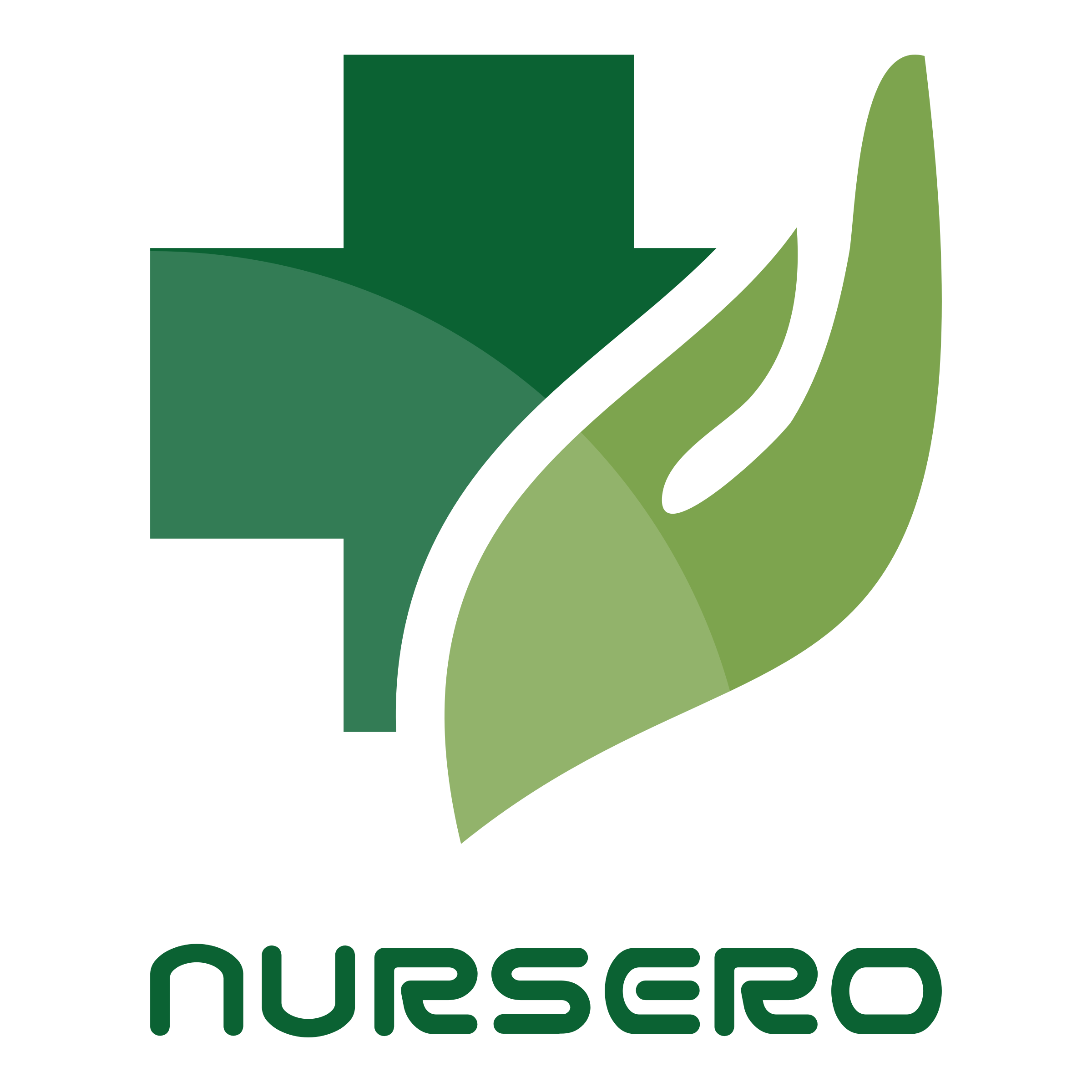 Nursing Logo Png