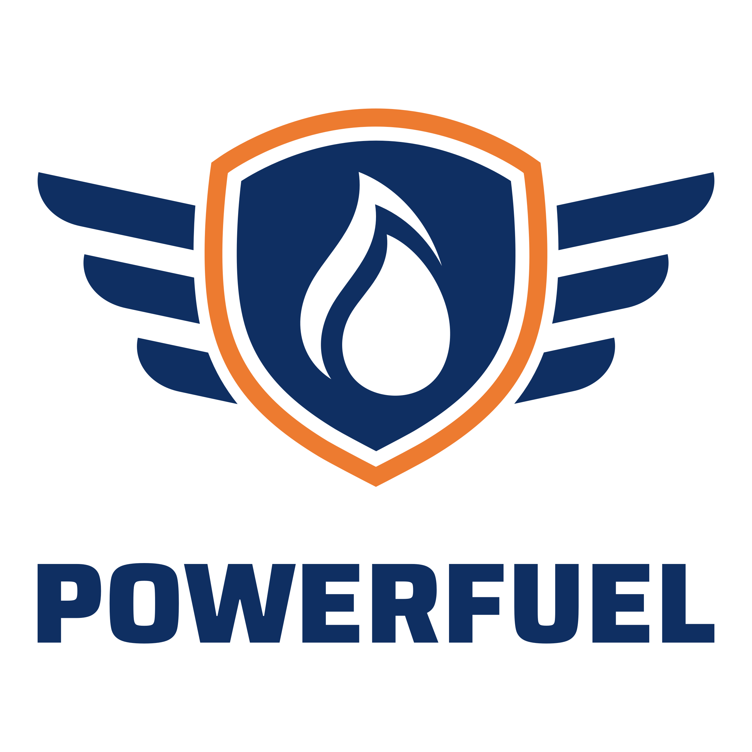 Natural Gas Company Logo