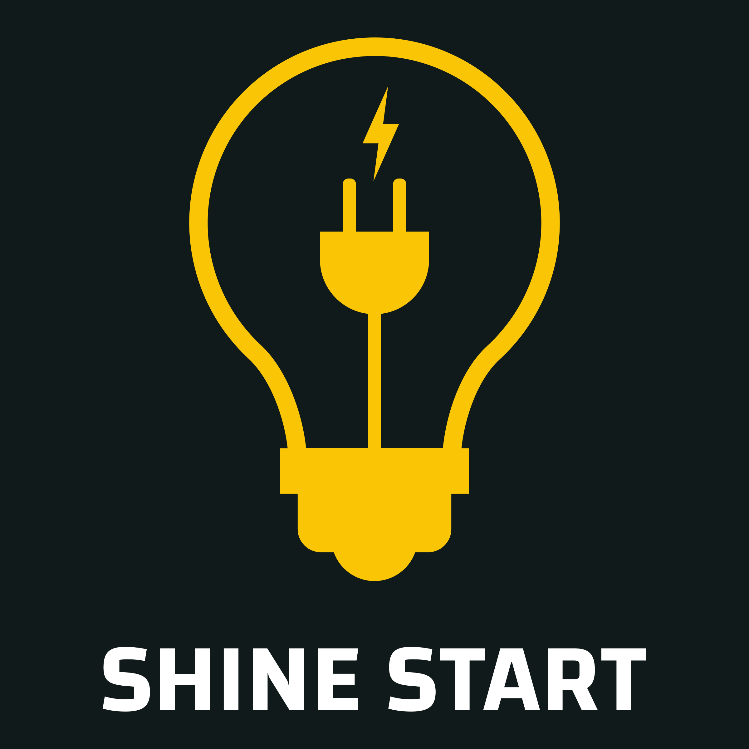Light Logo