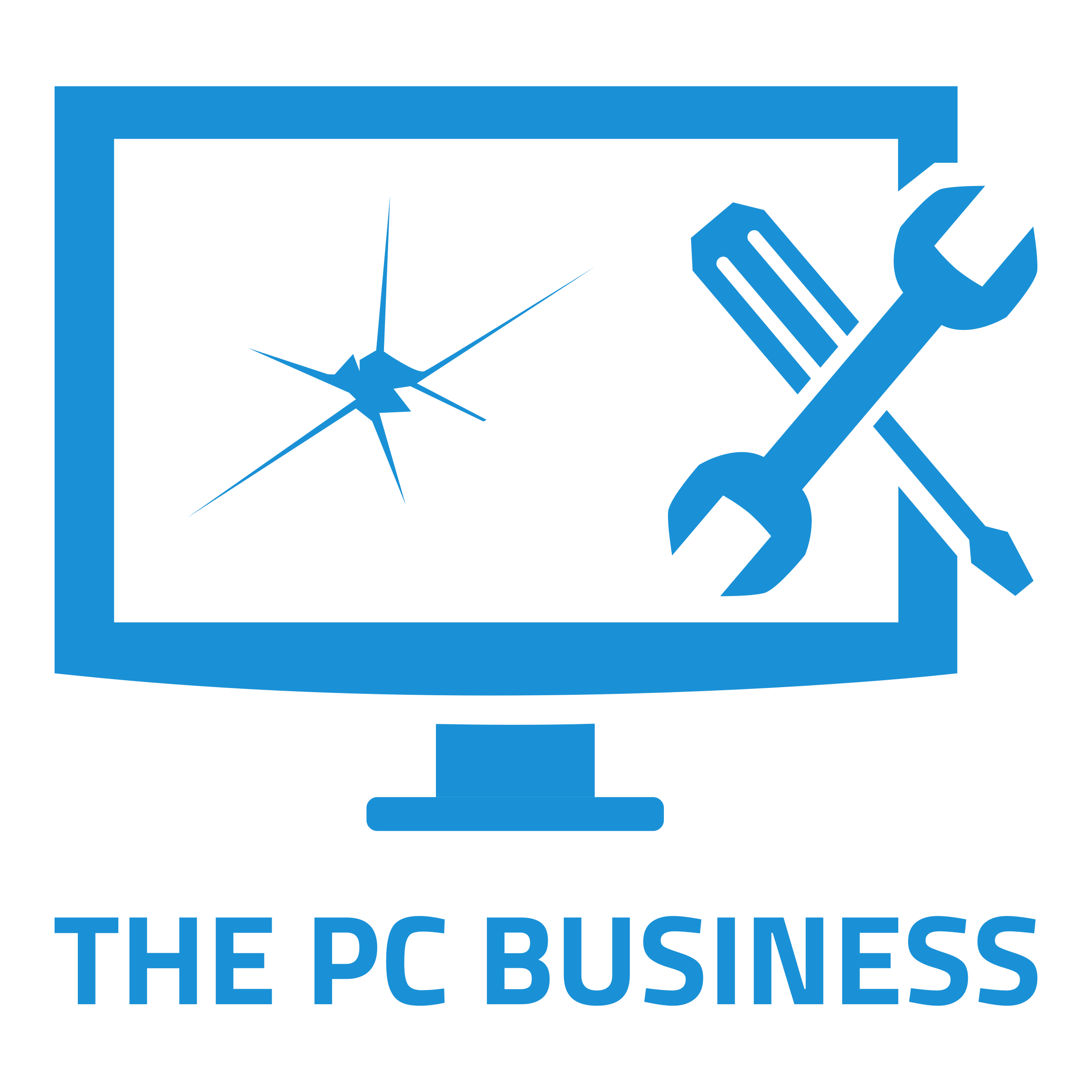 Computer Service Company Logo