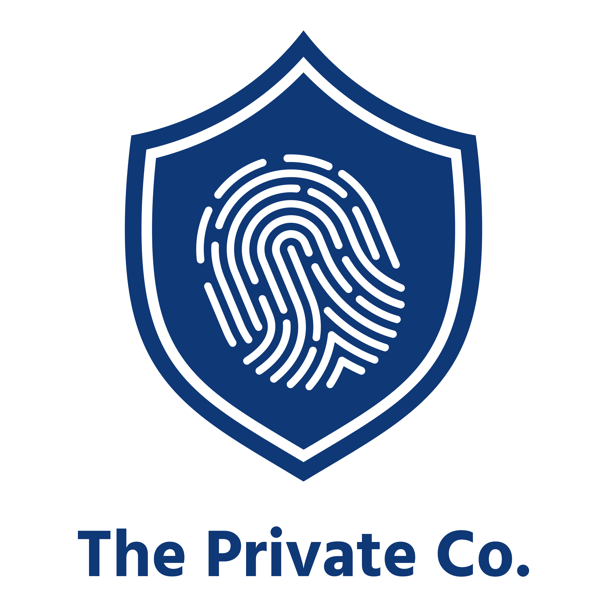 Private Detective Logo