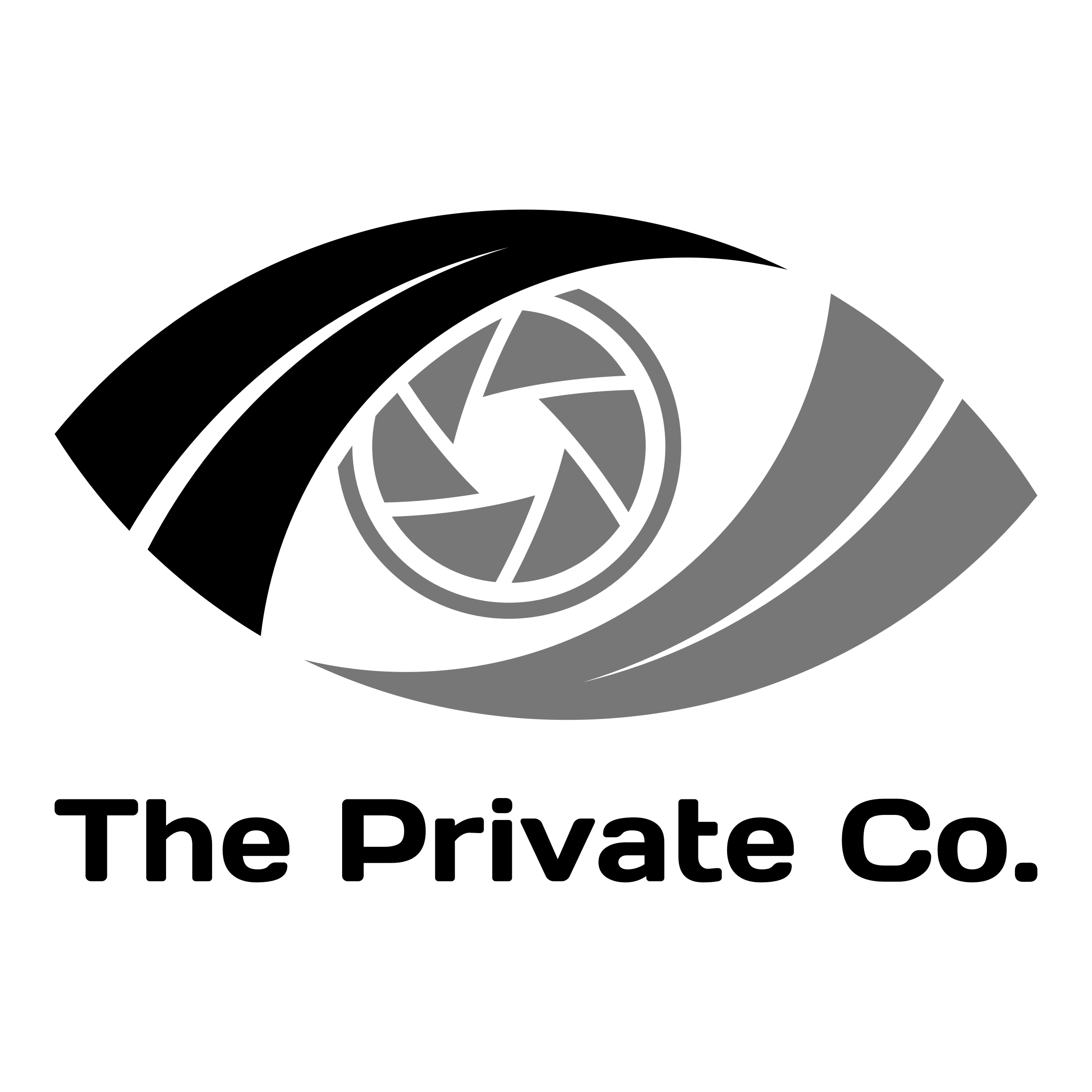 Private Detective Logo