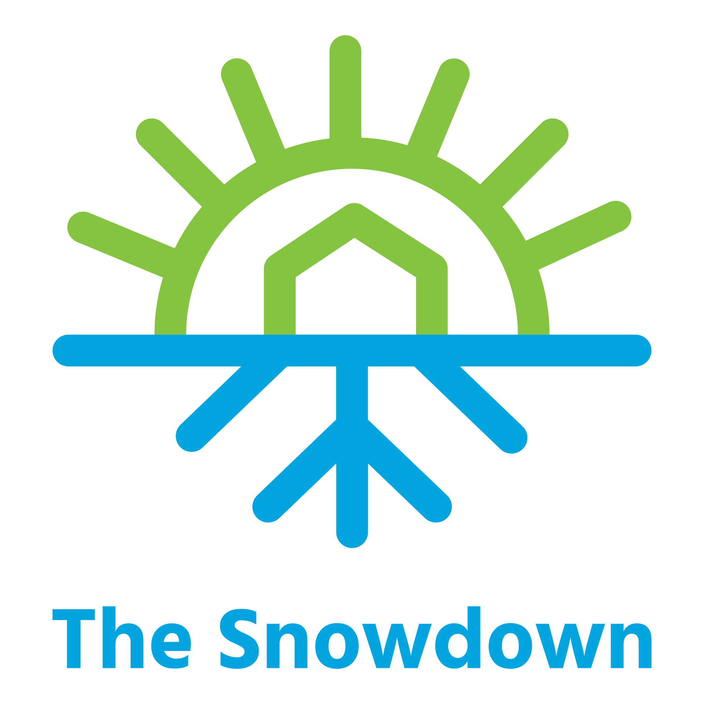 Snow Plow Logo