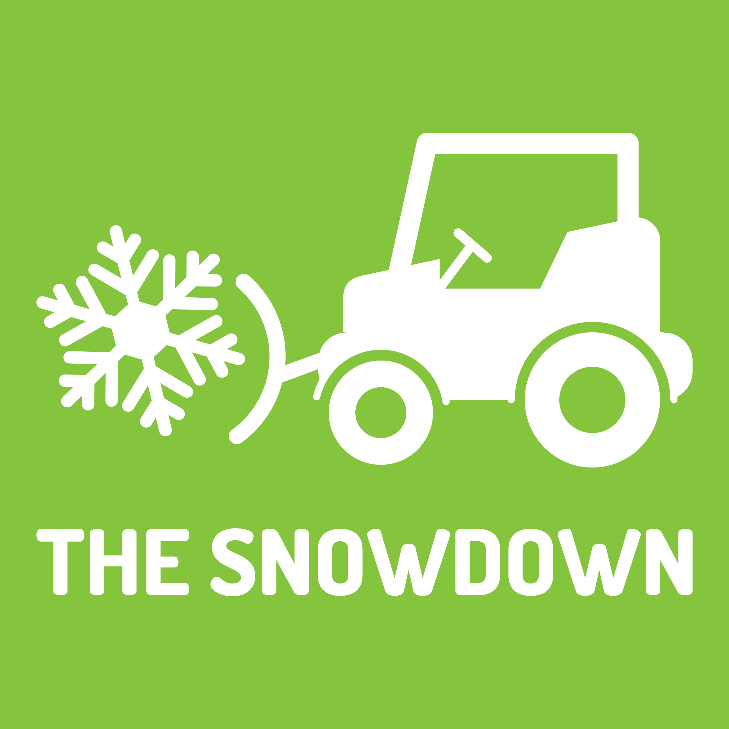 Snow Removal Logo
