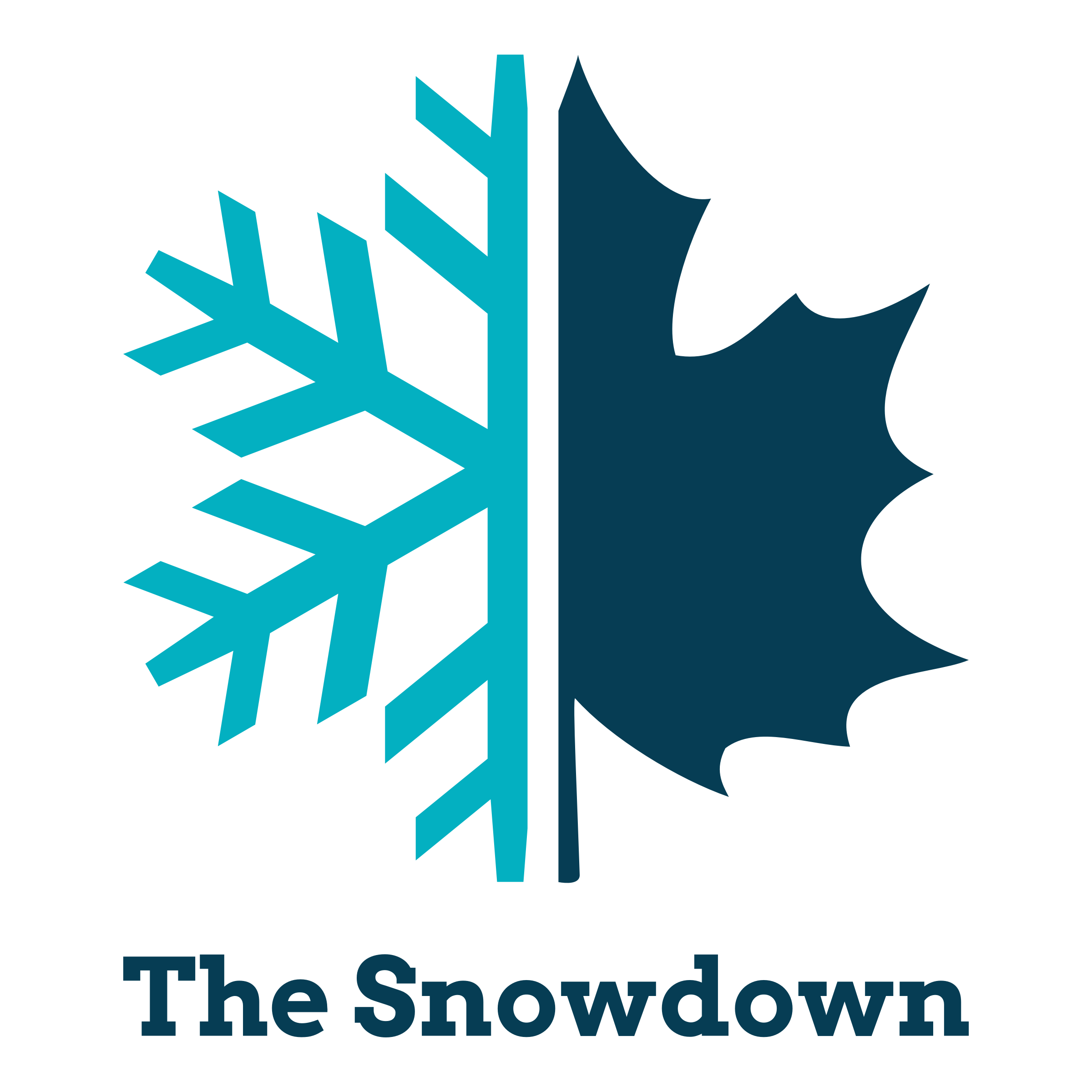 Snow Logo