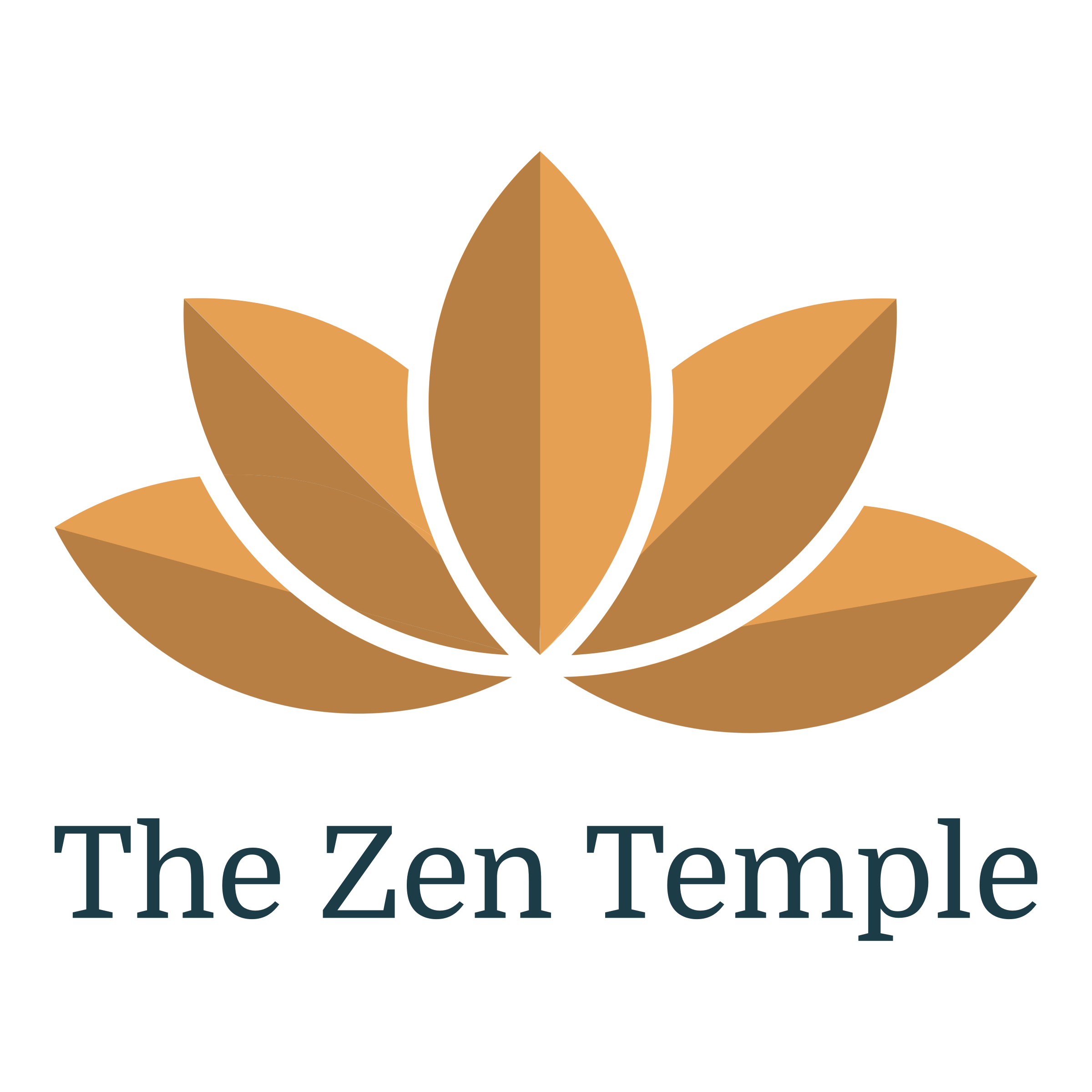 Zen Logo Design