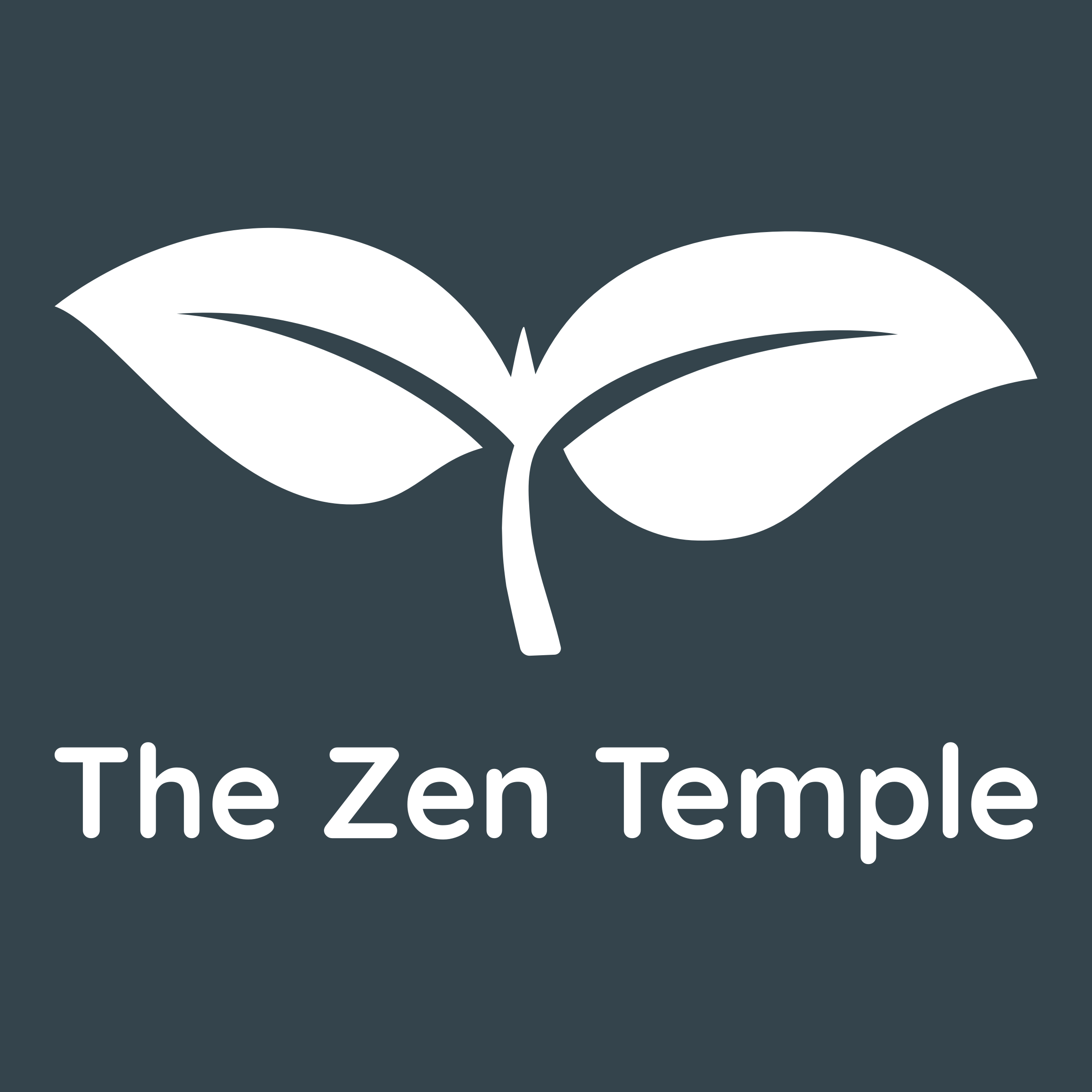 Zen Symbols Wallpaper Backgrounds