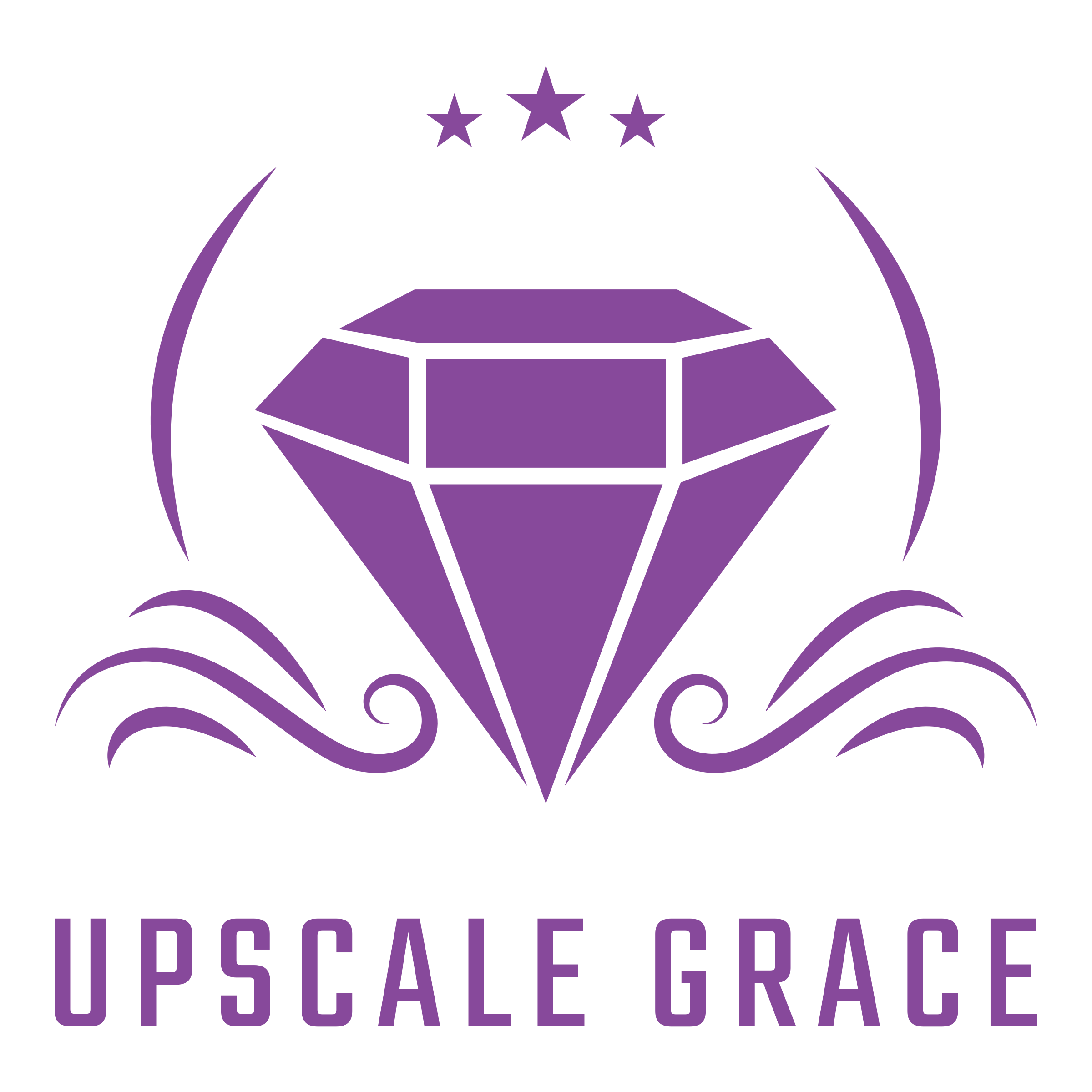 Chic Logo Design