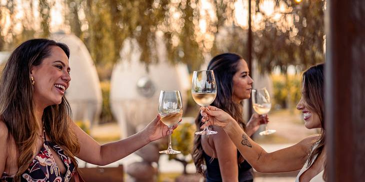 Wine Website Examples - 5 User-Friendly Sites That Drive Winery Success