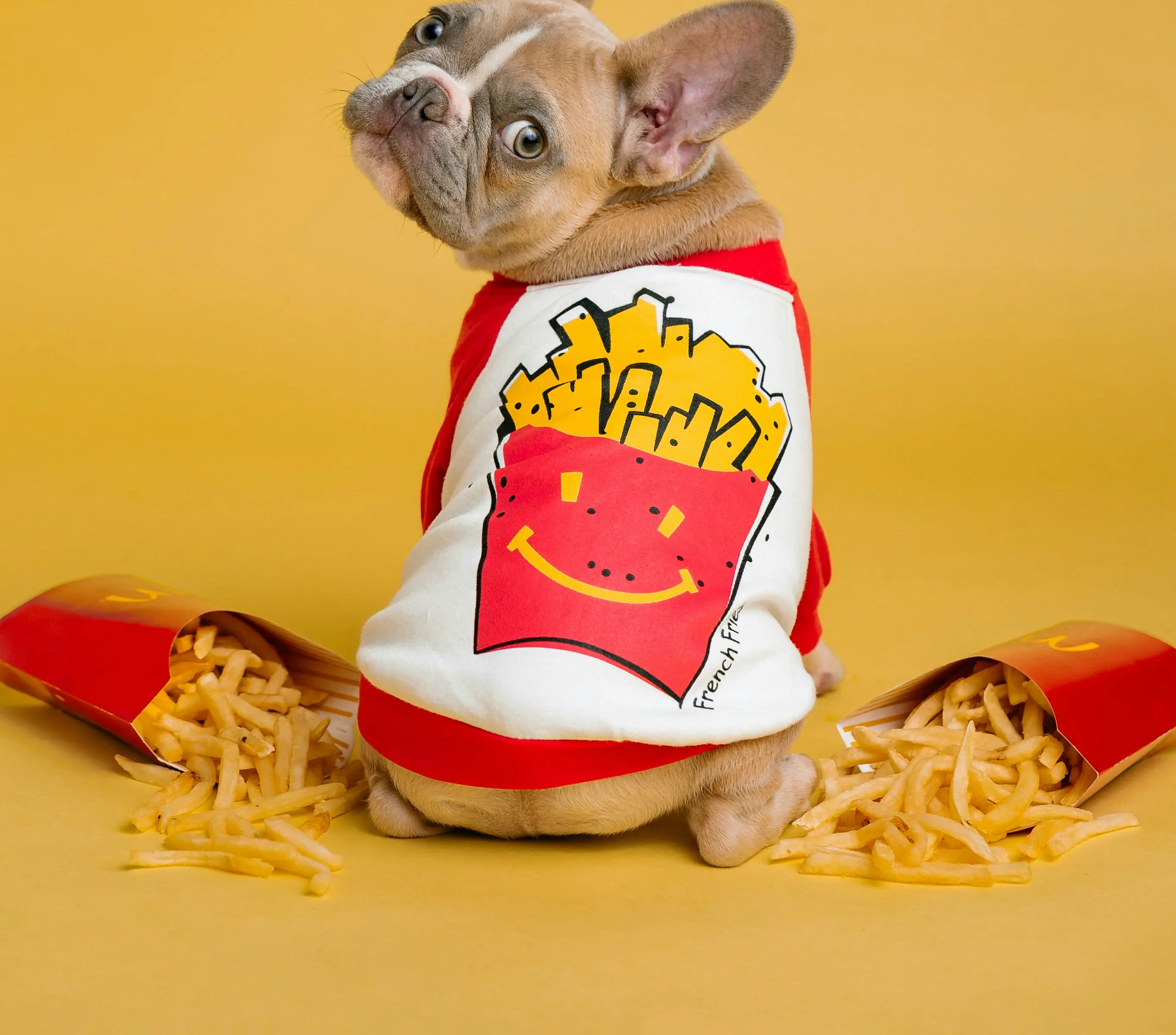 Red And Yellow Food Logo